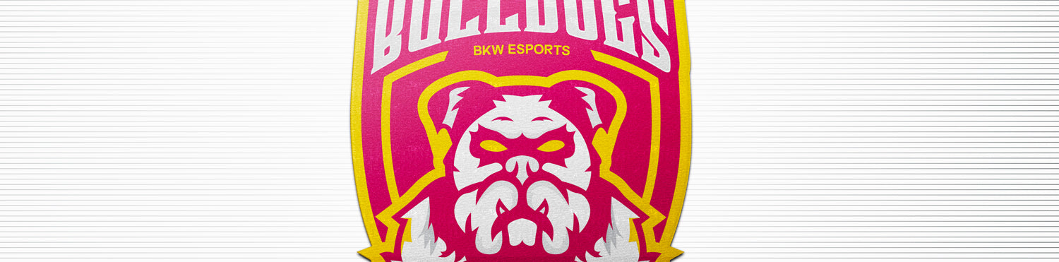 Berne-Knox-Westerlo (BKW) esports – Guardian Proline