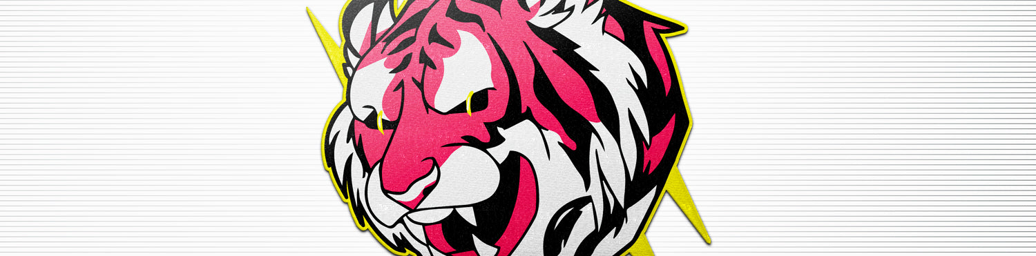 Fishers esports – Guardian Proline