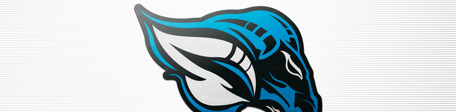 Random Lake esports – Guardian Proline