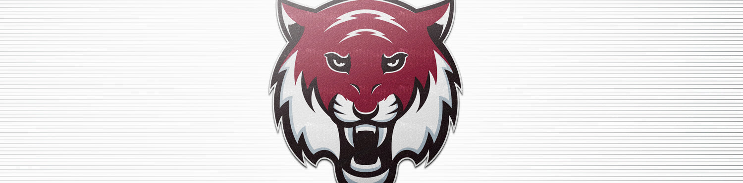 UDJ (Detroit Jesuit) esports – Guardian Proline