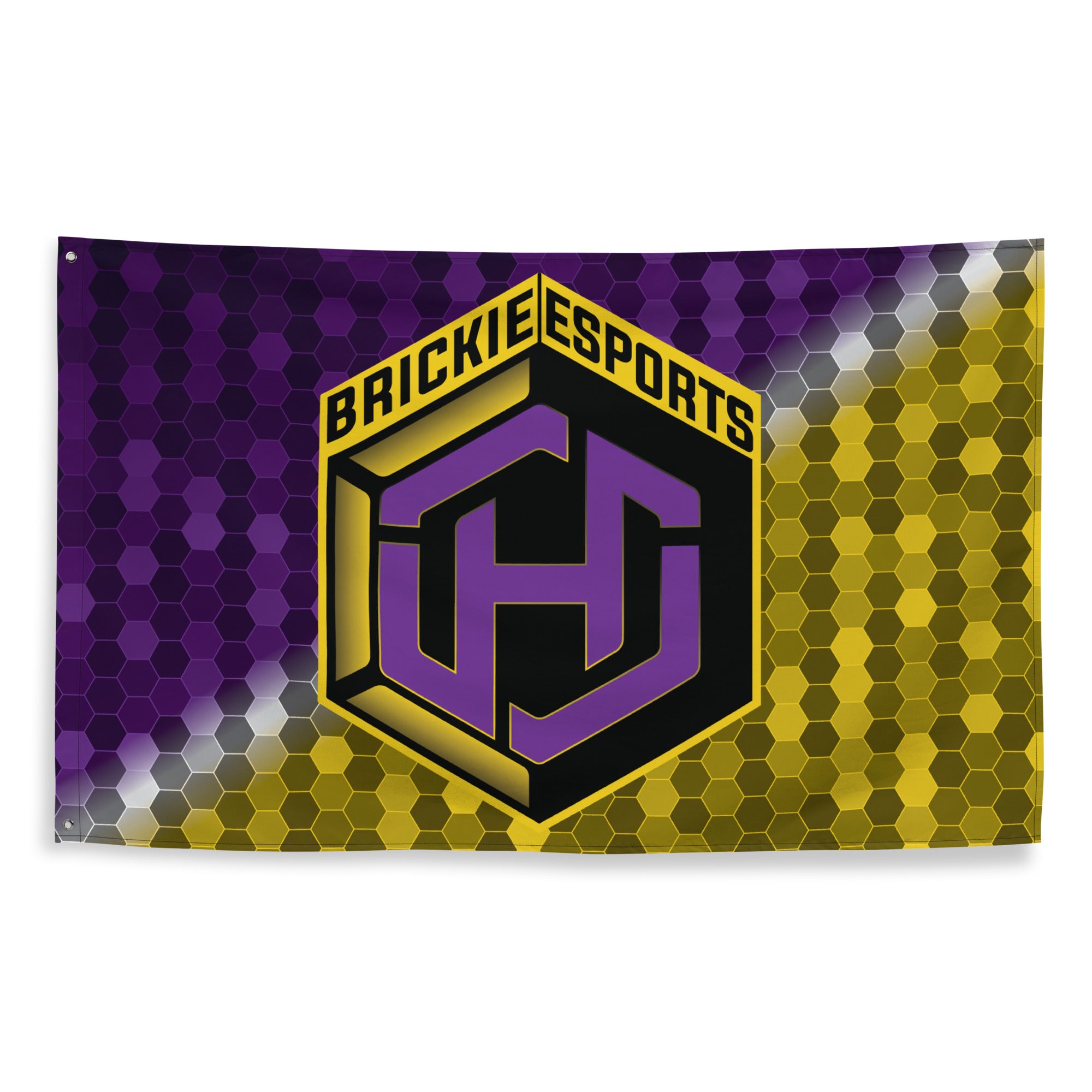 Brickie esports Flag (56" x 34.5") – Guardian Proline